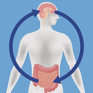 Unlock the brain-gut connection for better digestion and health ...